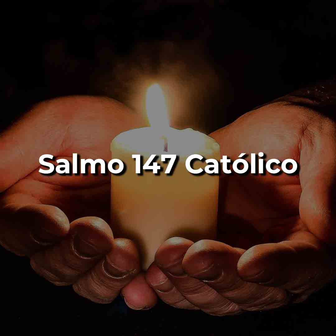 Salmo católico 147 Glorifica al Señor, Jerusalén ⋆ Vida de Santo
